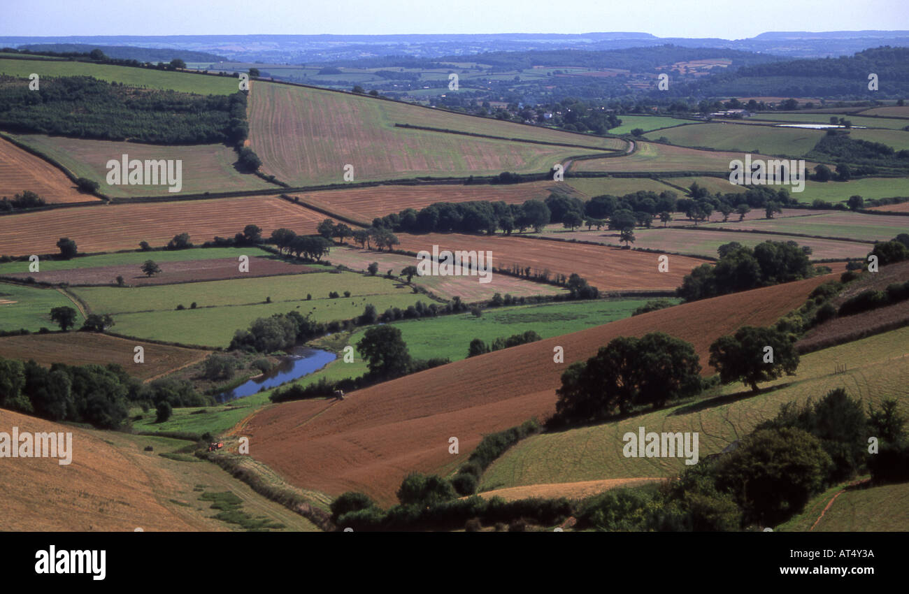 Colourful patchwork of agricultural fields along the Exe valley between ...
