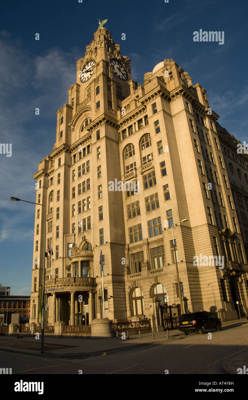 The Liver Building Liverpool Stock Photo - Alamy