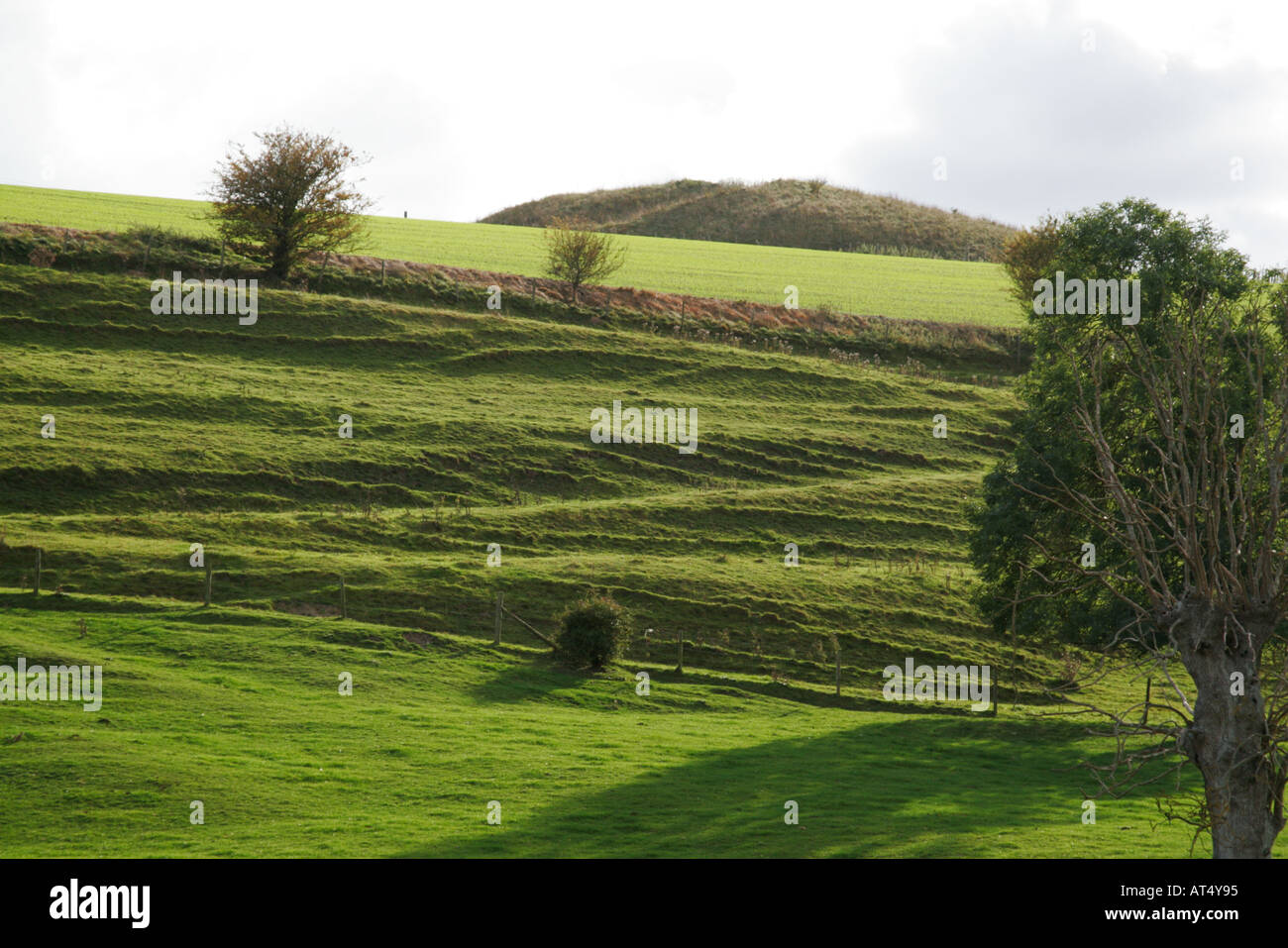 Strip lynchet hi-res stock photography and images - Alamy