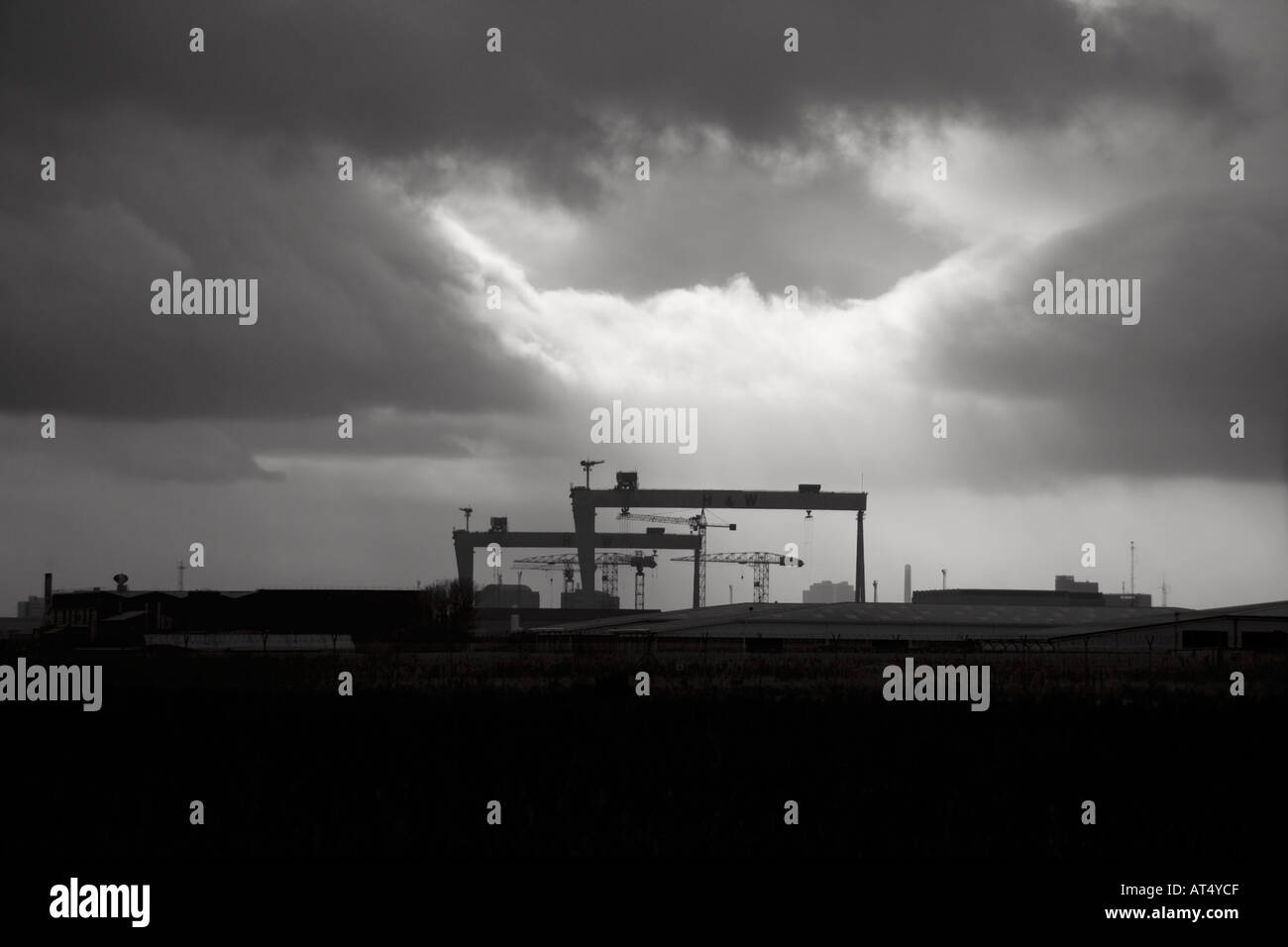 Harland Wolf cranes Belfast Northern Ireland Stock Photo - Alamy