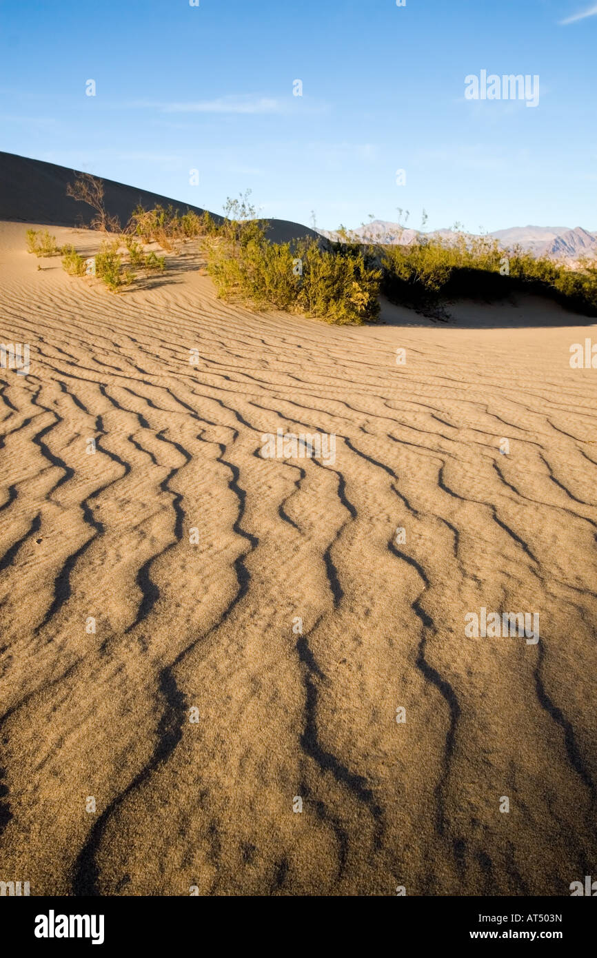 Texture and shadow on the desert sand dunes Stock Photo - Alamy