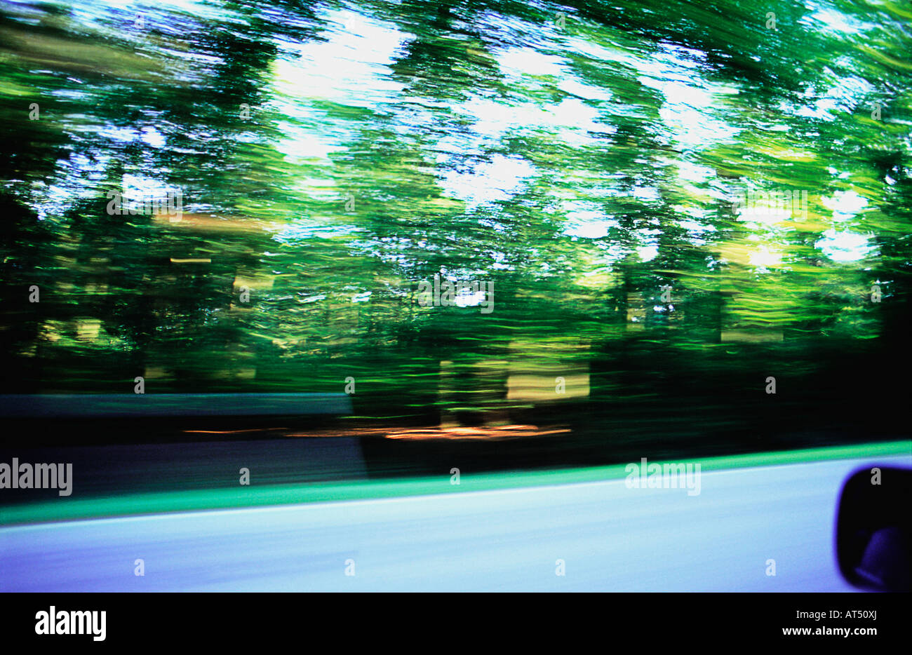 Forest blurred with movement Stock Photo - Alamy