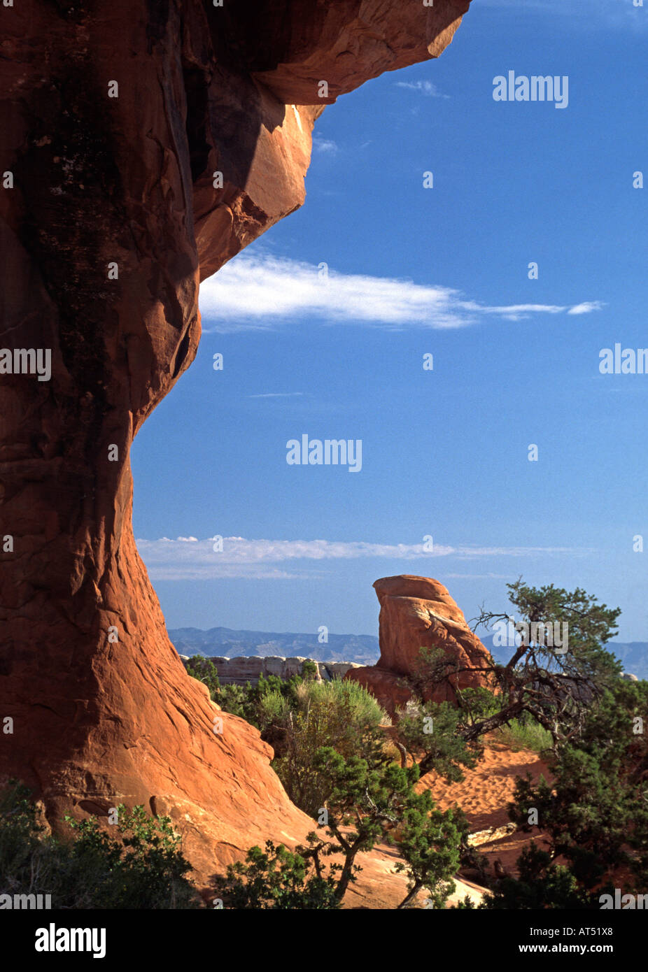 PINE TREE ARCH in the DEVILS GARDEN ARCHES NATIONAL PARK UTAH Stock ...
