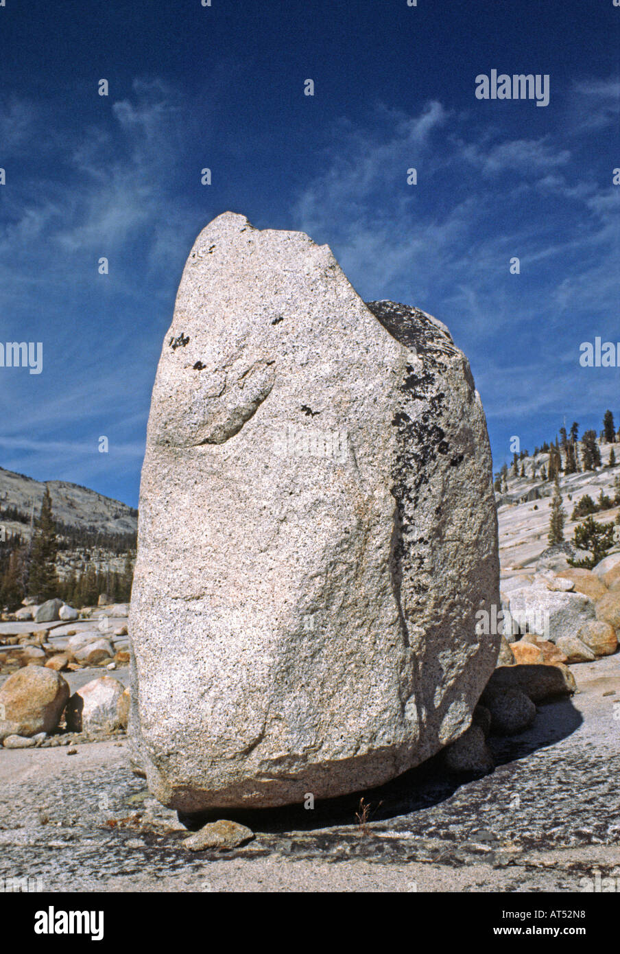 Giant GRANITE BOULDER left by the Ancient Tuolumne Glacier as it ...