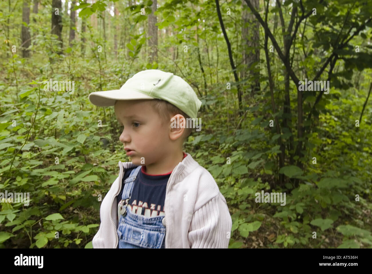Kids hiding in trees hi-res stock photography and images - Alamy