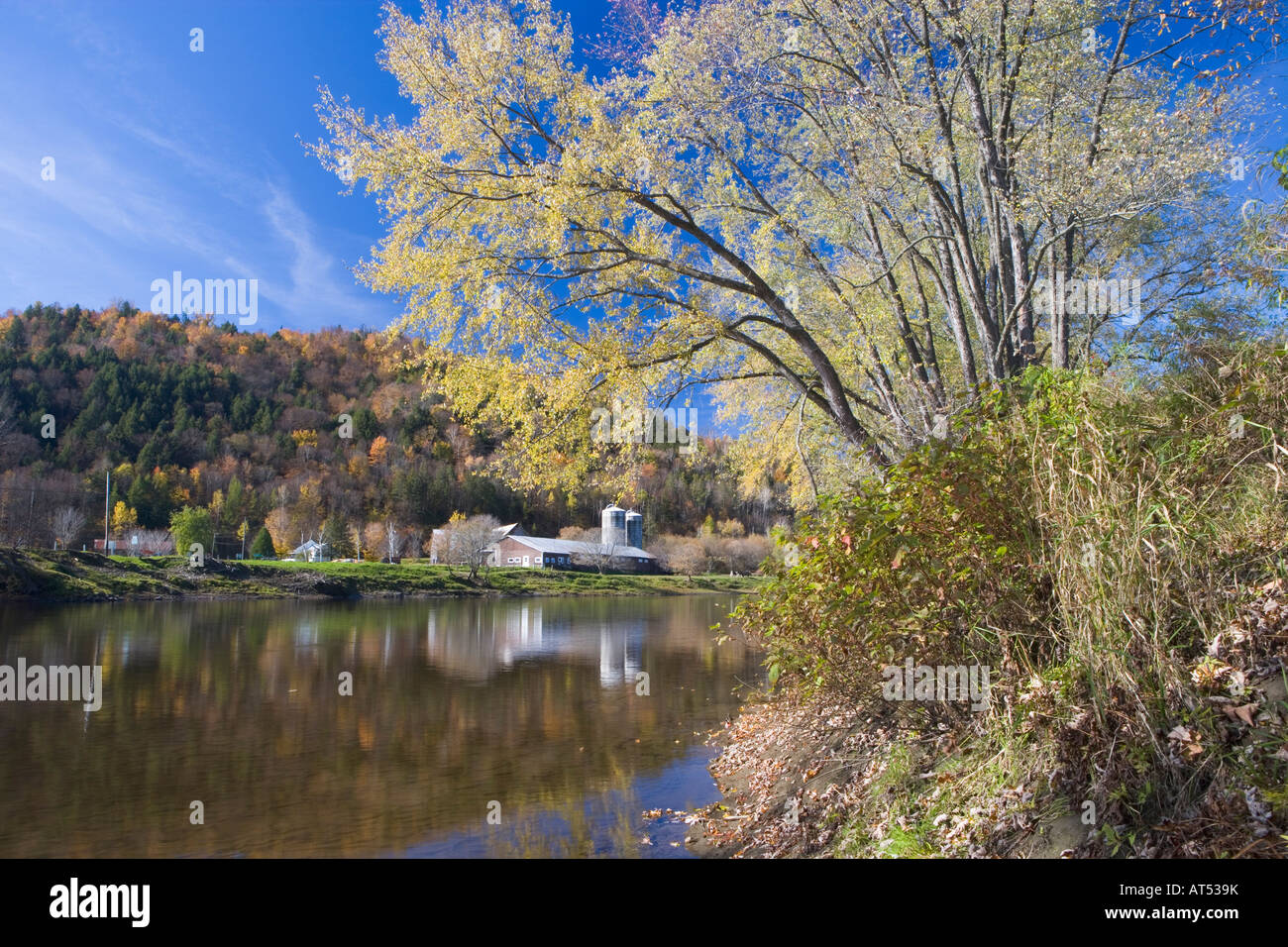 A farm on the Connecticut River in Maidstone, Vermont. Silver maple ...