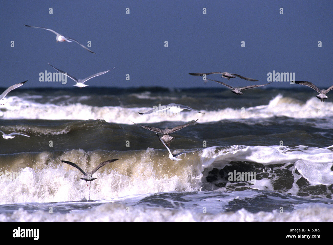 North Sea ocean water seaside waves wave coast Stock Photo - Alamy