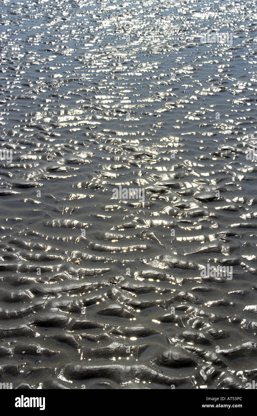 North Sea ocean water seaside waves wave coast Stock Photo - Alamy