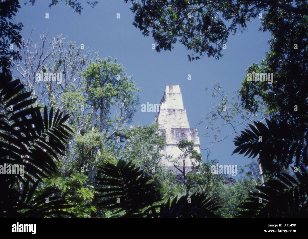 america aztec tower history jungle architecture monument Stock Photo ...
