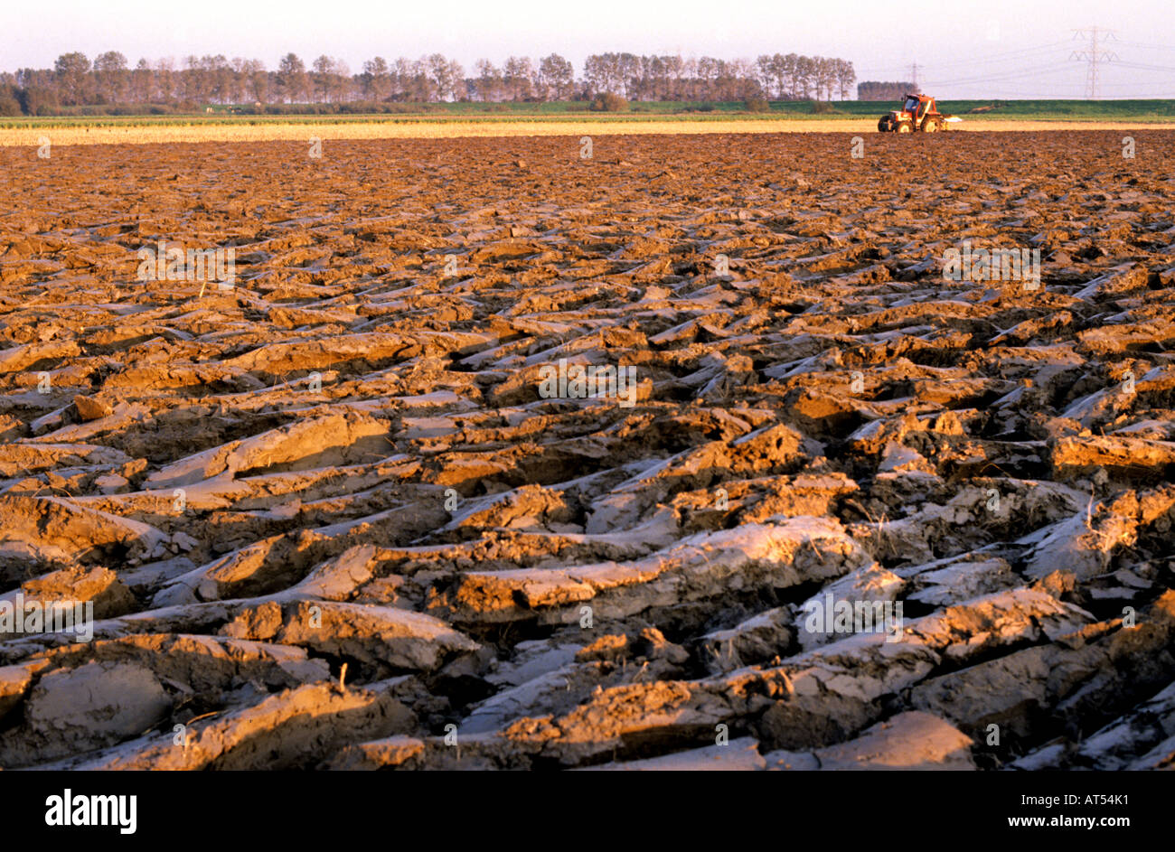 Farm Farmer Agriculture Netherlands Groningen potato Stock Photo - Alamy
