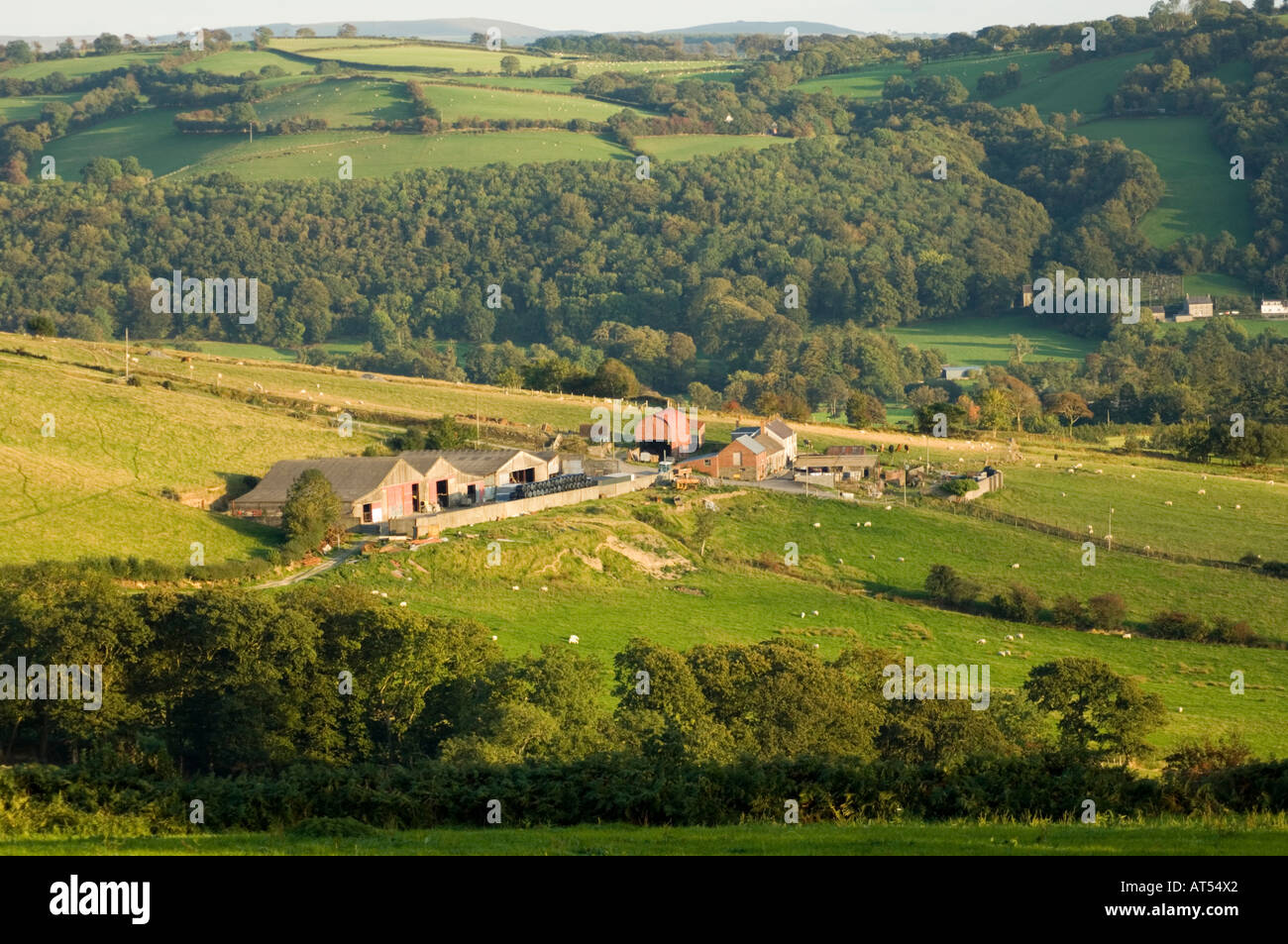Summer evening: a remote welsh farm on hillside near the village of ...