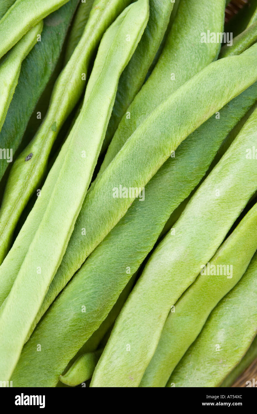 runner beans UK Stock Photo - Alamy