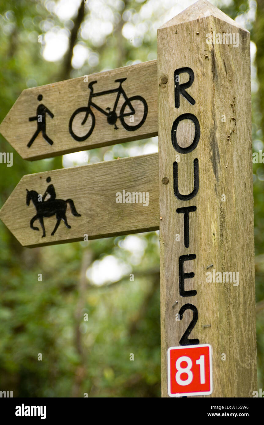 wooden route marker sign footpath bridleway and cycle route 81, the ...