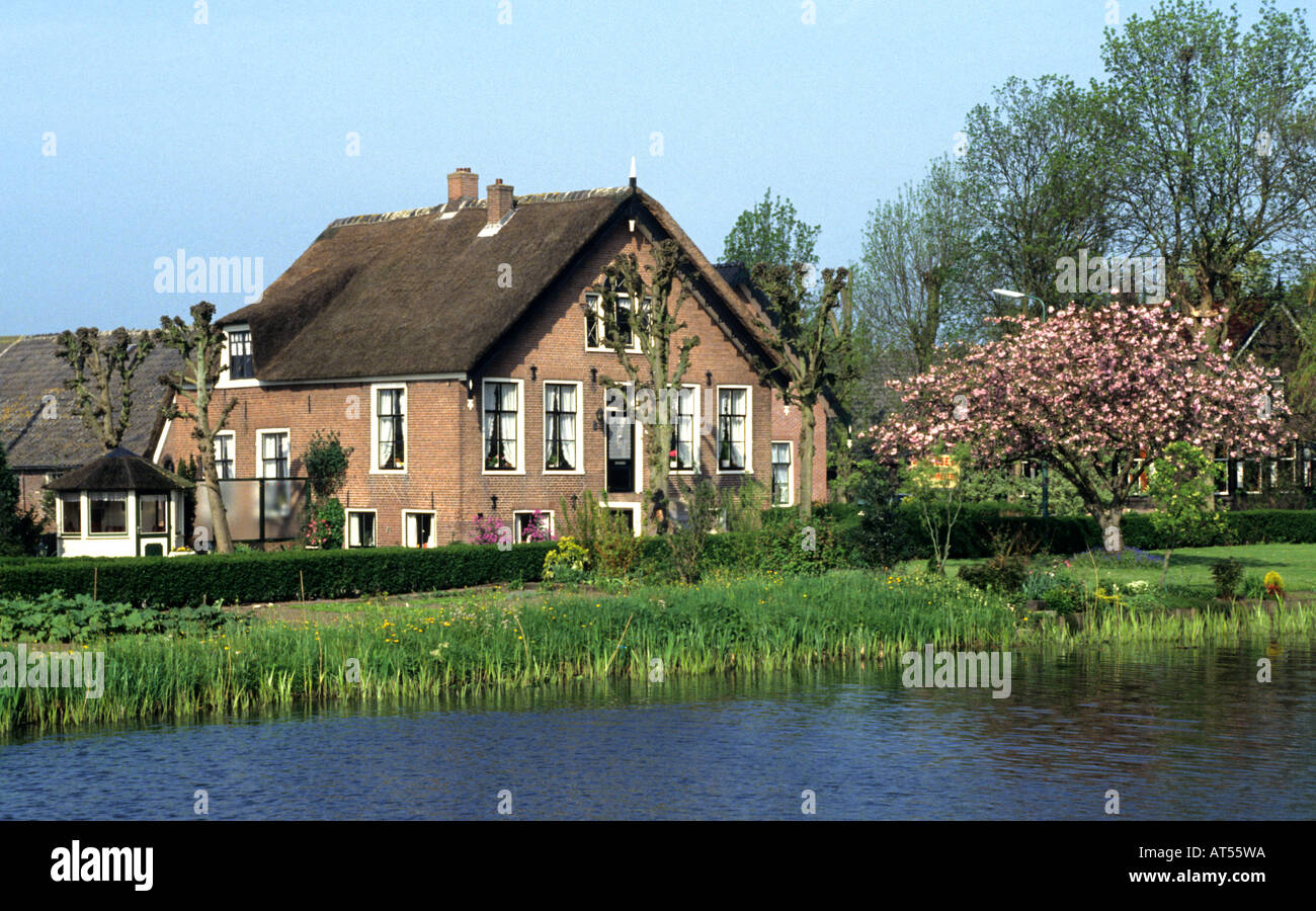 Farm Farmer Agriculture Netherlands house Holland Stock Photo - Alamy