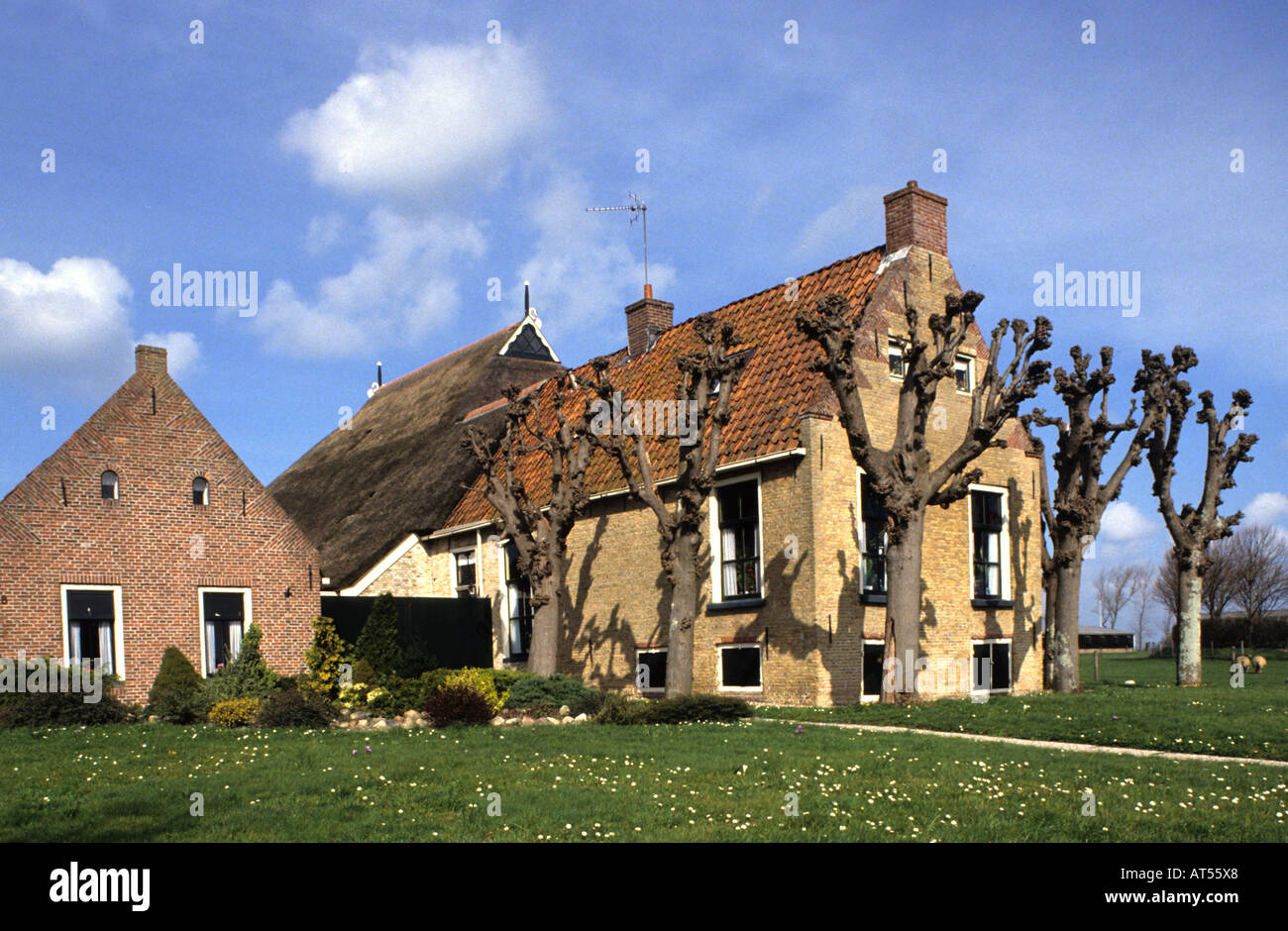 Echten Friesland Fryslan Netherlands farmer farm Stock Photo - Alamy