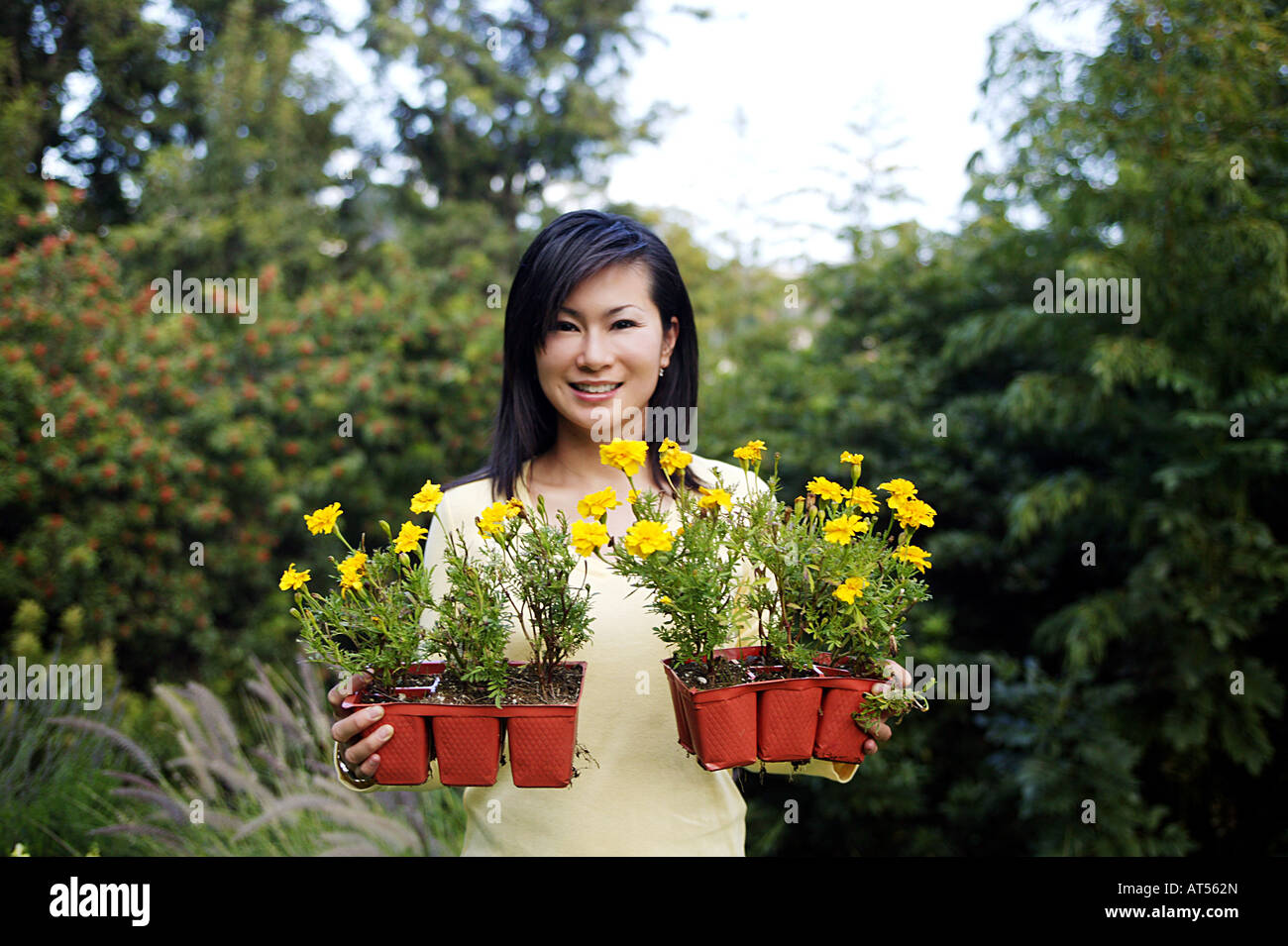 Woman Holding Pots with Flowers Stock Photo - Alamy