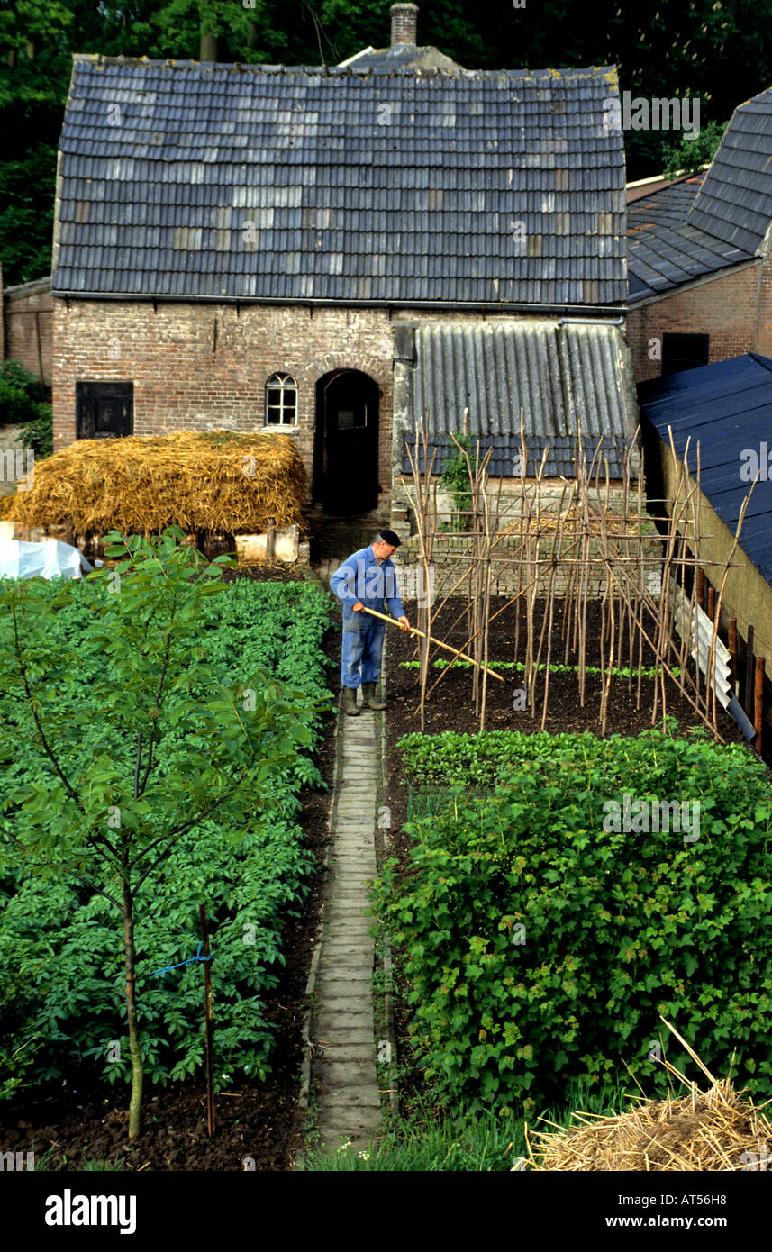 Brabant Netherlands farm agriculture farmer Stock Photo - Alamy