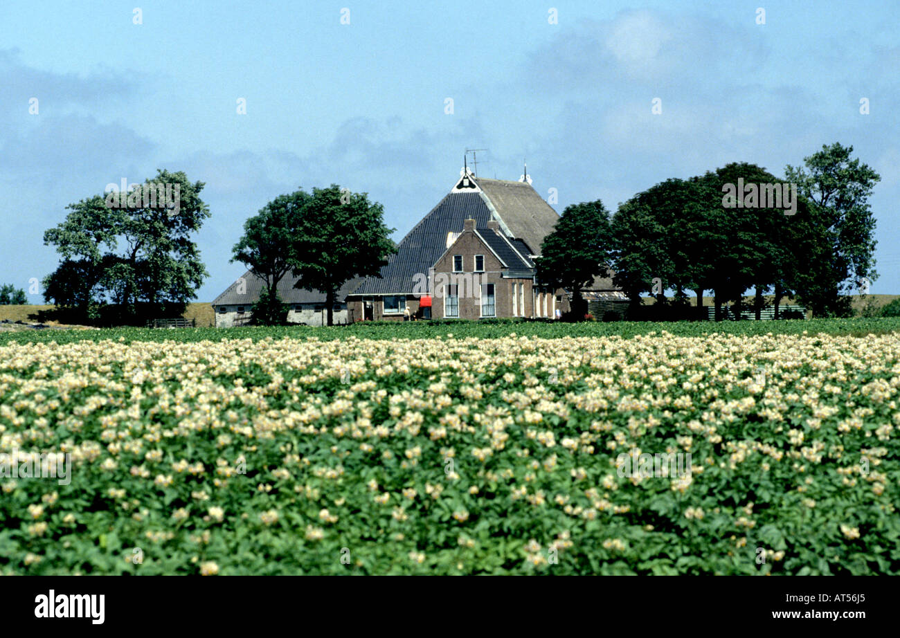 County friesland hi-res stock photography and images - Alamy