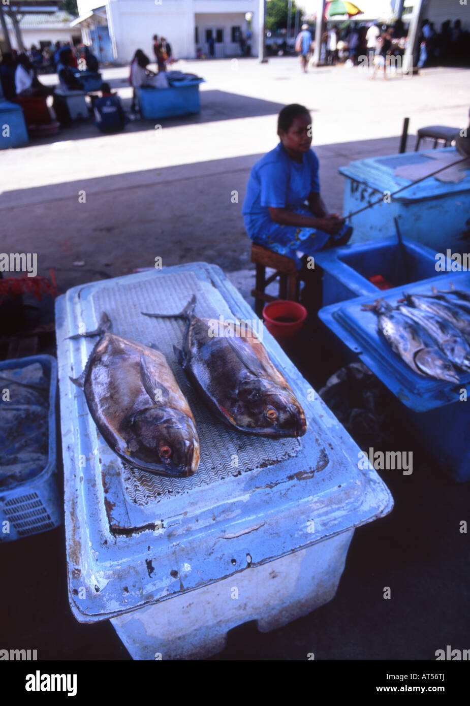 Solomon islands fish market hi-res stock photography and images - Alamy