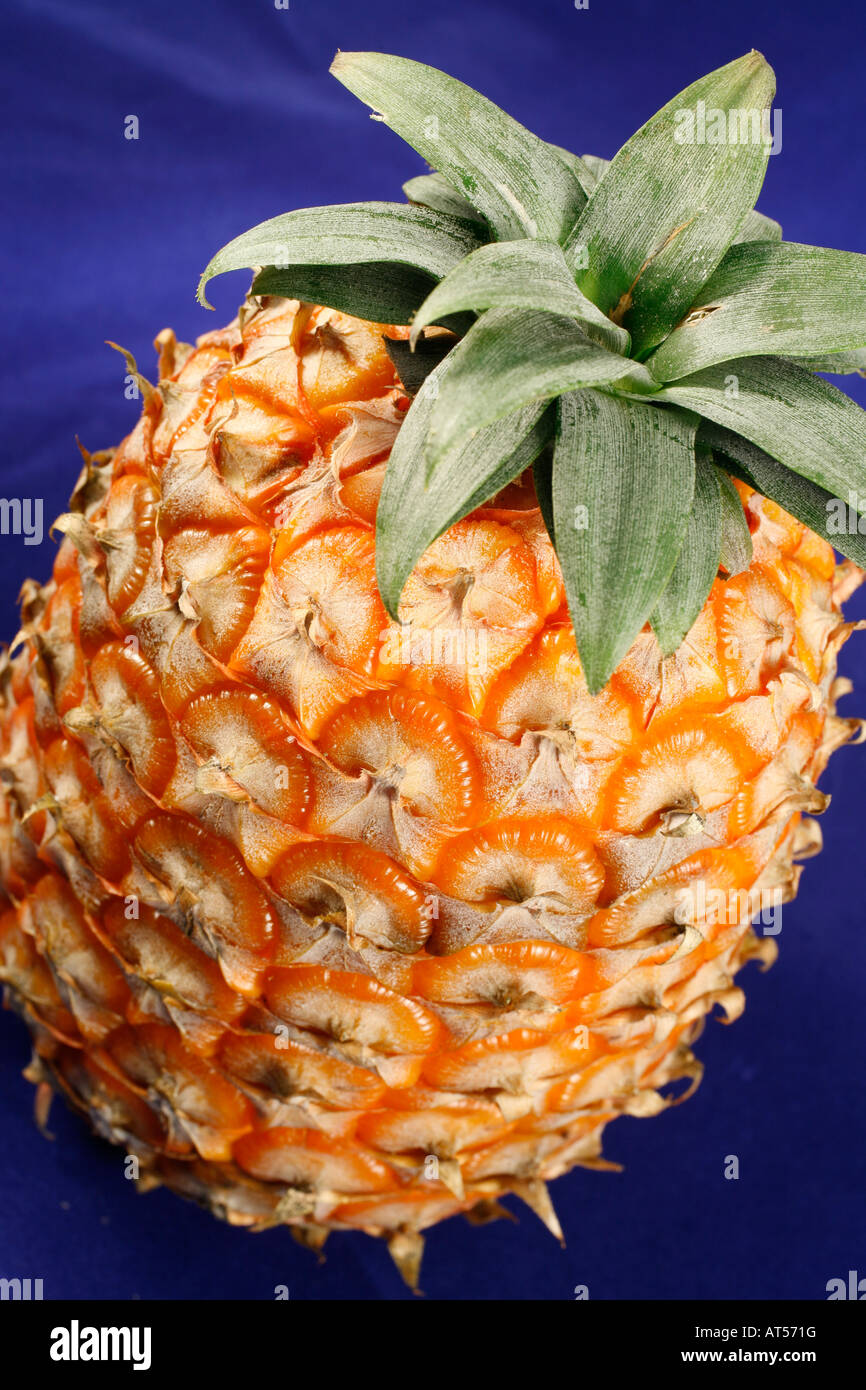 Azores pineapple hi-res stock photography and images - Alamy