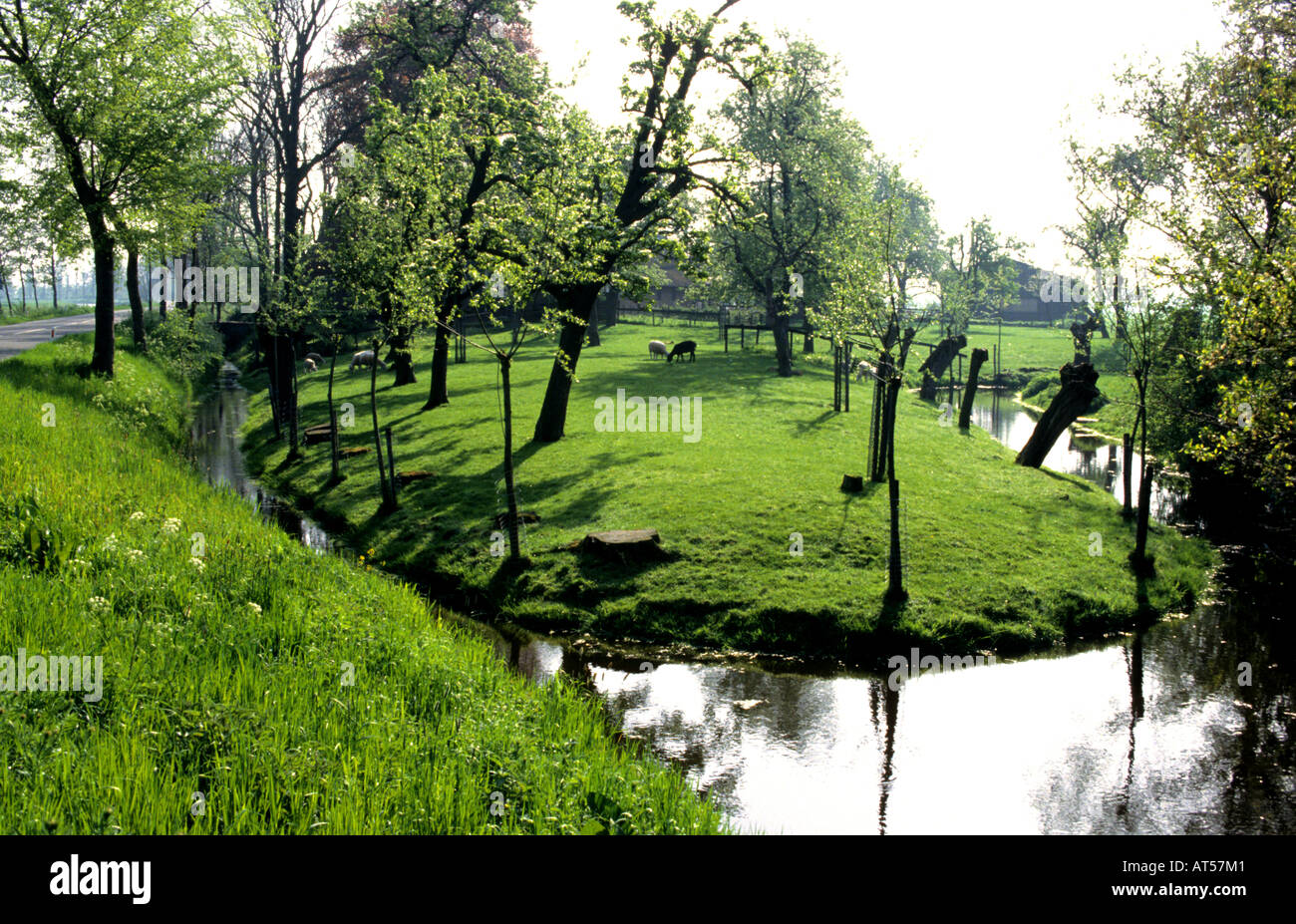 nieuwkoop Netherlands nl holland dutch Stock Photo - Alamy