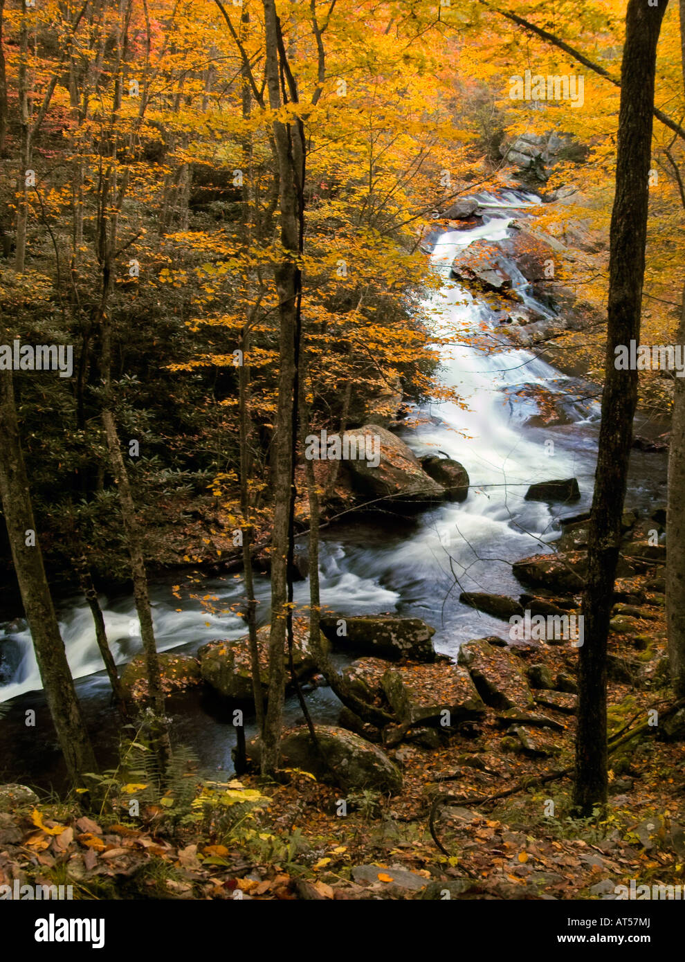 Surrounded by fast flowing water hi-res stock photography and images ...
