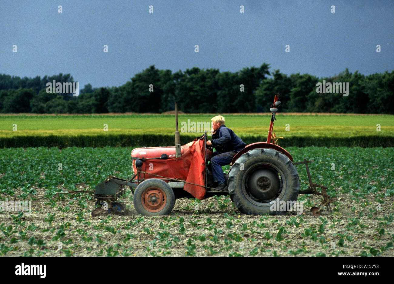 Sealand Zeeland Farm house farming farmer agriculture field Stock Photo ...