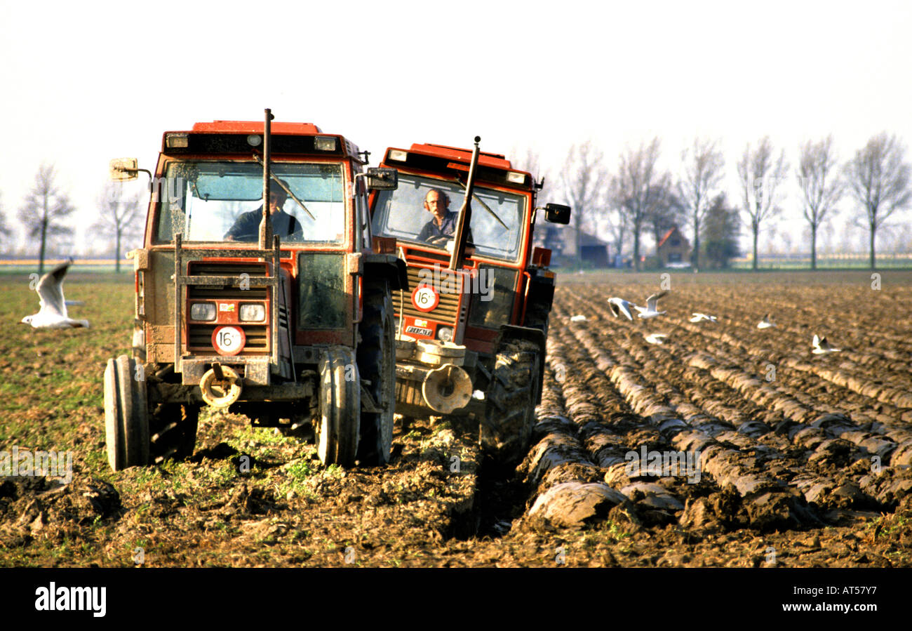 tractor Netherlands holland dutch farm agriculture Stock Photo - Alamy