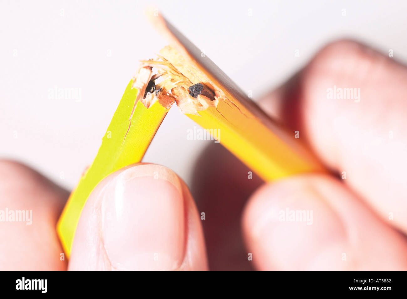Hands breaking pencil hi-res stock photography and images - Alamy