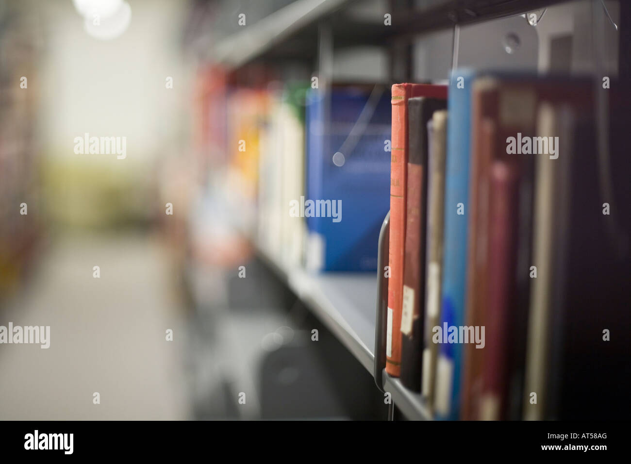 Shallow focus photo of books on a shelf in Martin Luther King Library ...