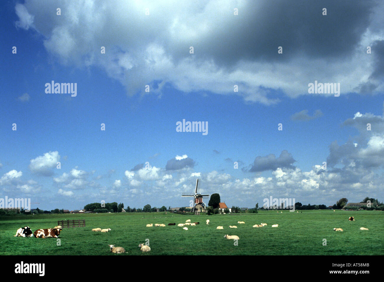 Sheep farming medieval hi-res stock photography and images - Alamy