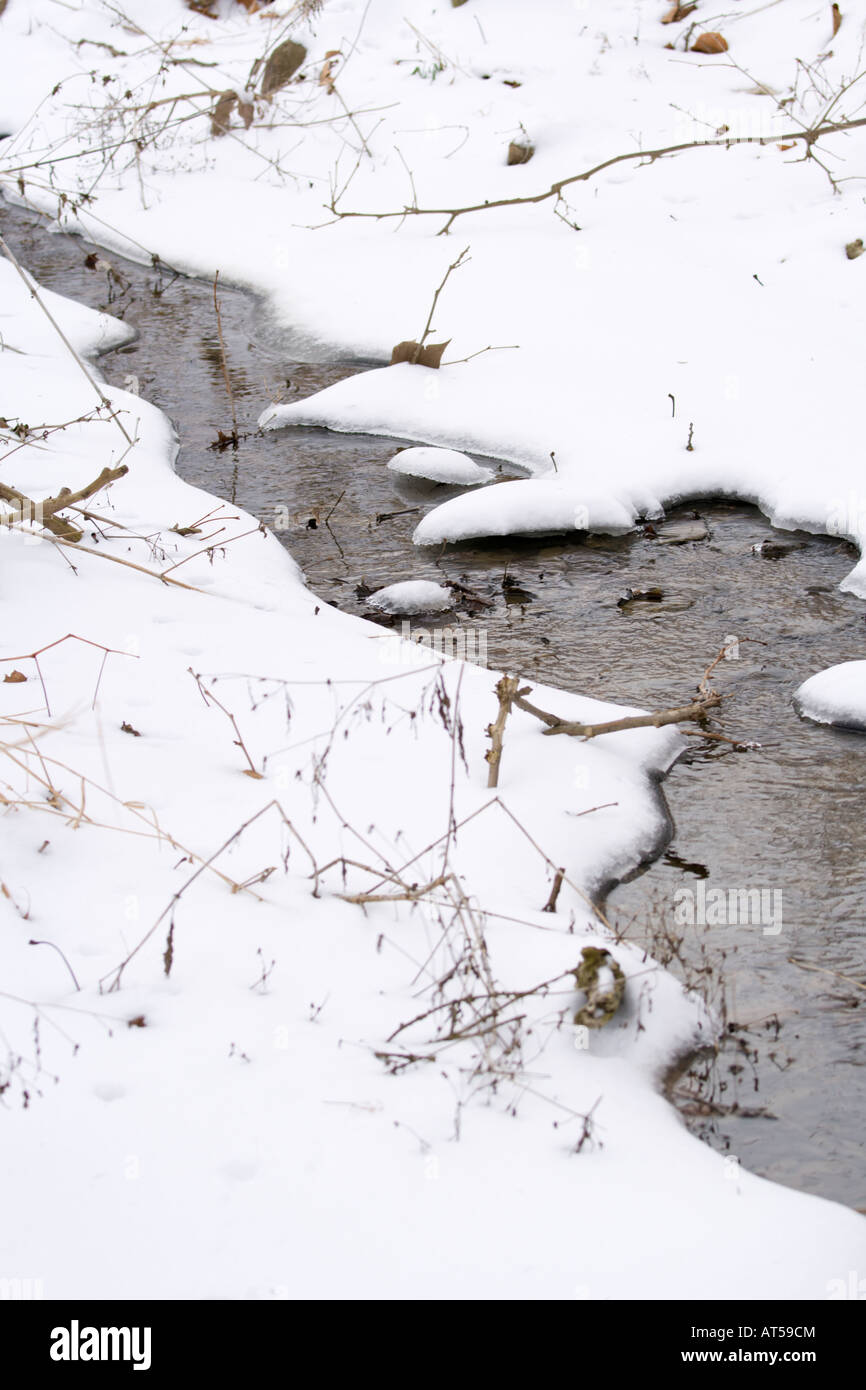 Transparent creek hi-res stock photography and images - Alamy