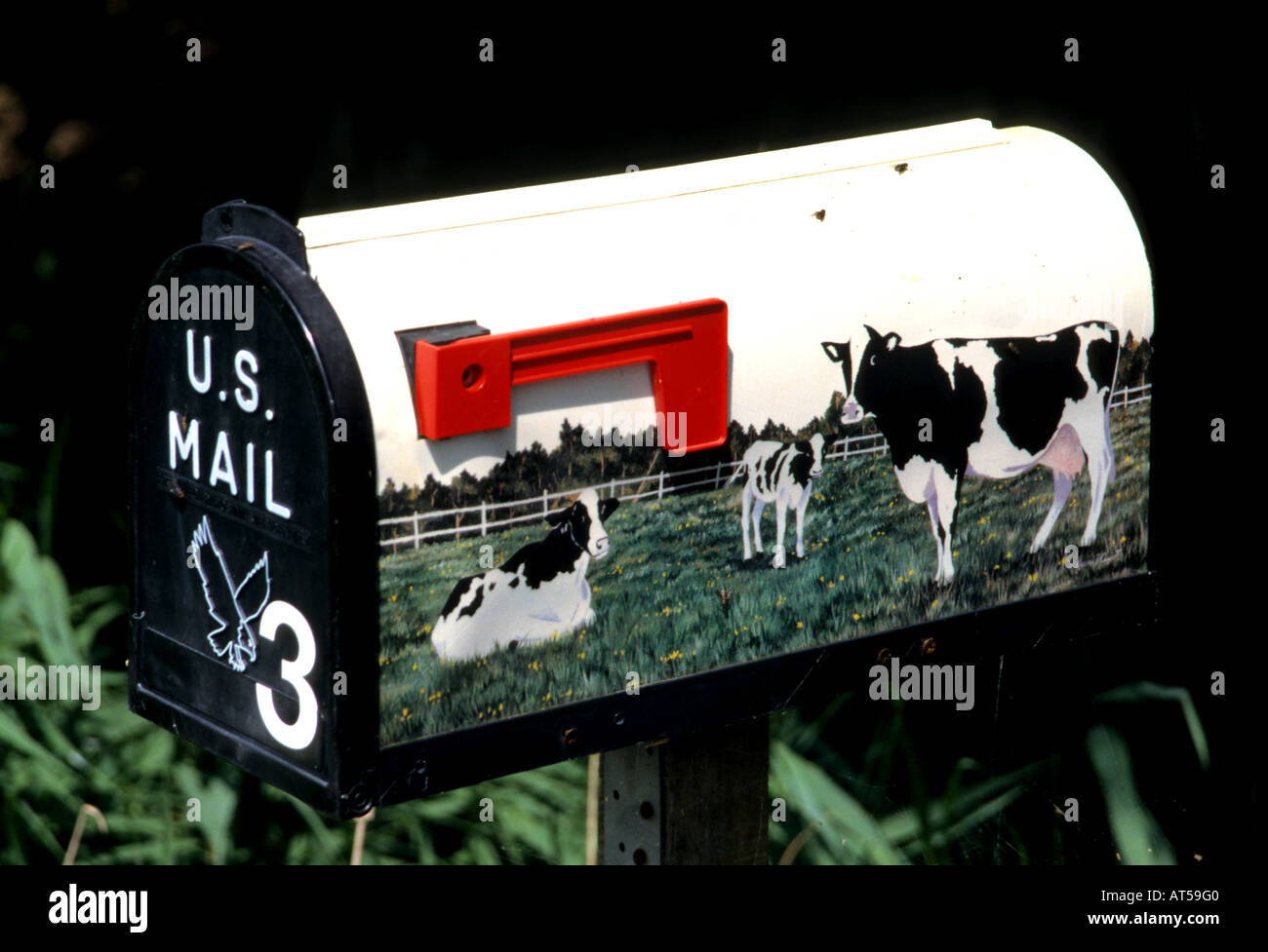 Netherlands Holland letter box post cow cows Stock Photo - Alamy