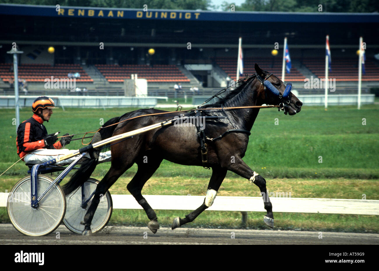 Horse horses, cart carts races, race race, course track Wassenaar ...