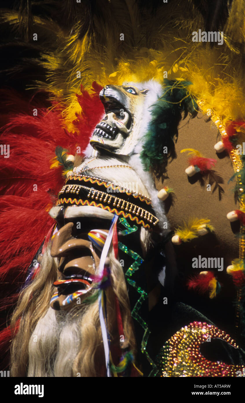 Portrait of a tobas warrior dancer wearing a feather headdress in the ...