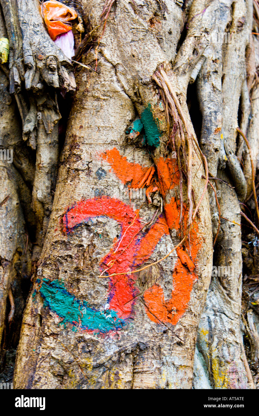 Om symbol painted on tree, Mumbai - India Stock Photo - Alamy