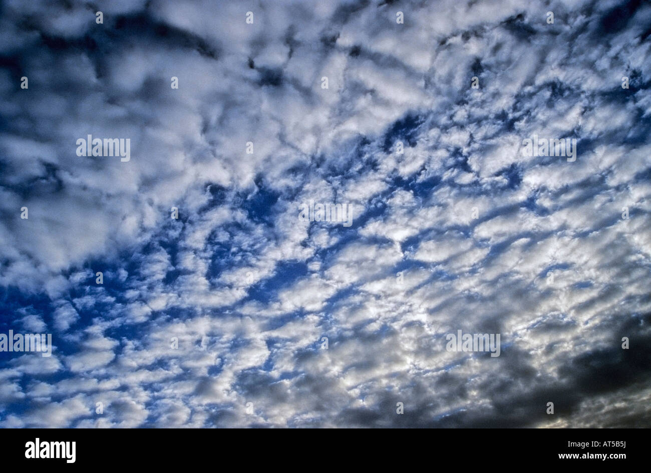 Altocumulus ( Ac Stock Photo - Alamy