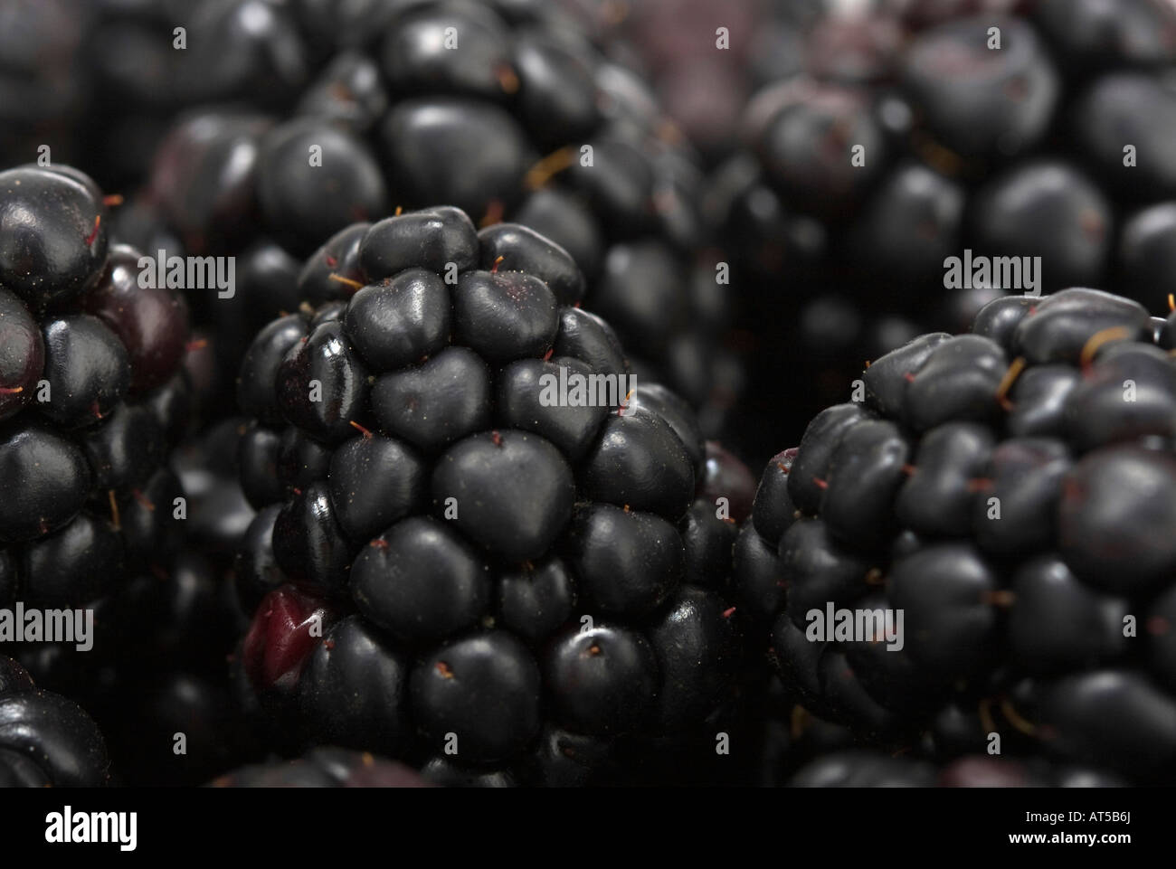 Blackberries fruit selling at farmers market from above overhead ...