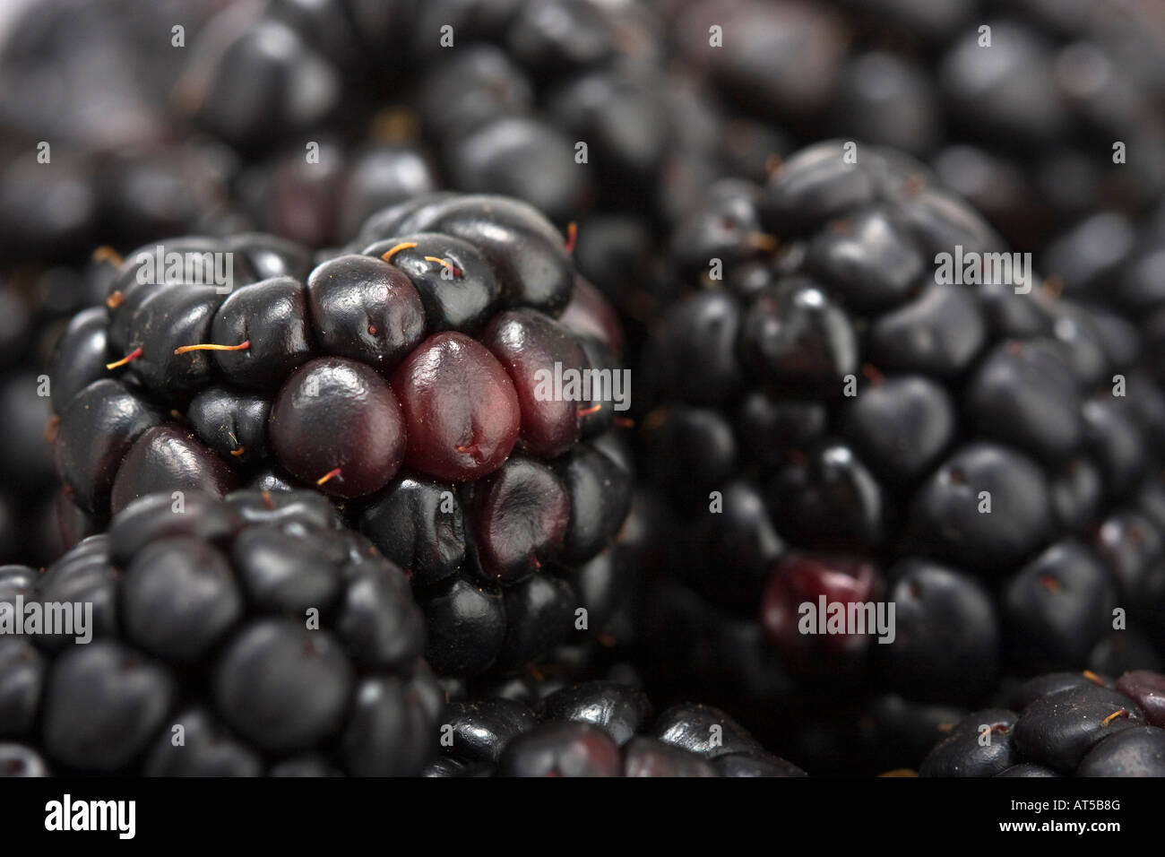 Hi res shots hi-res stock photography and images - Alamy