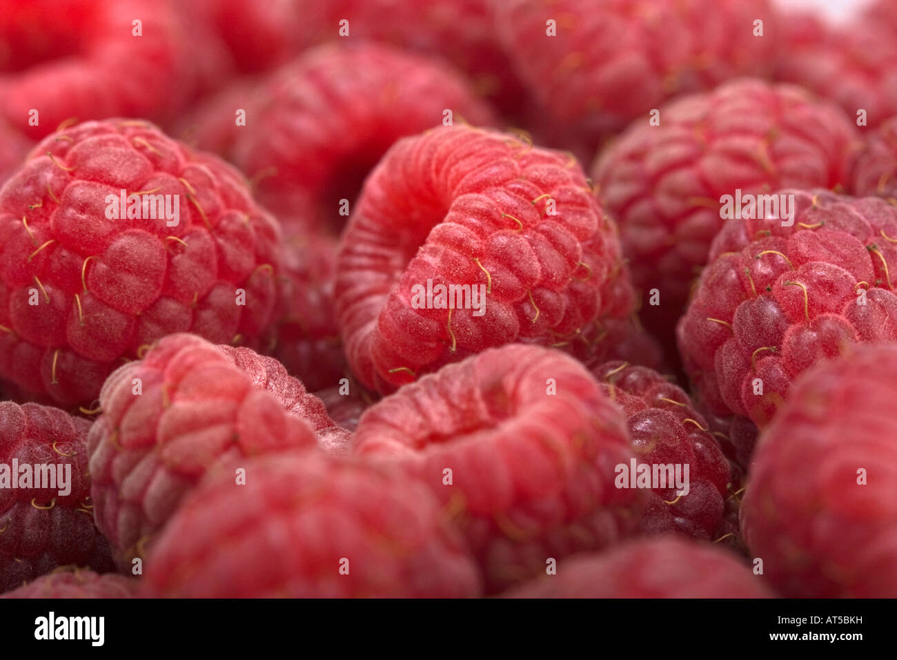 Detail of Raspberries from above Stock Photo - Alamy