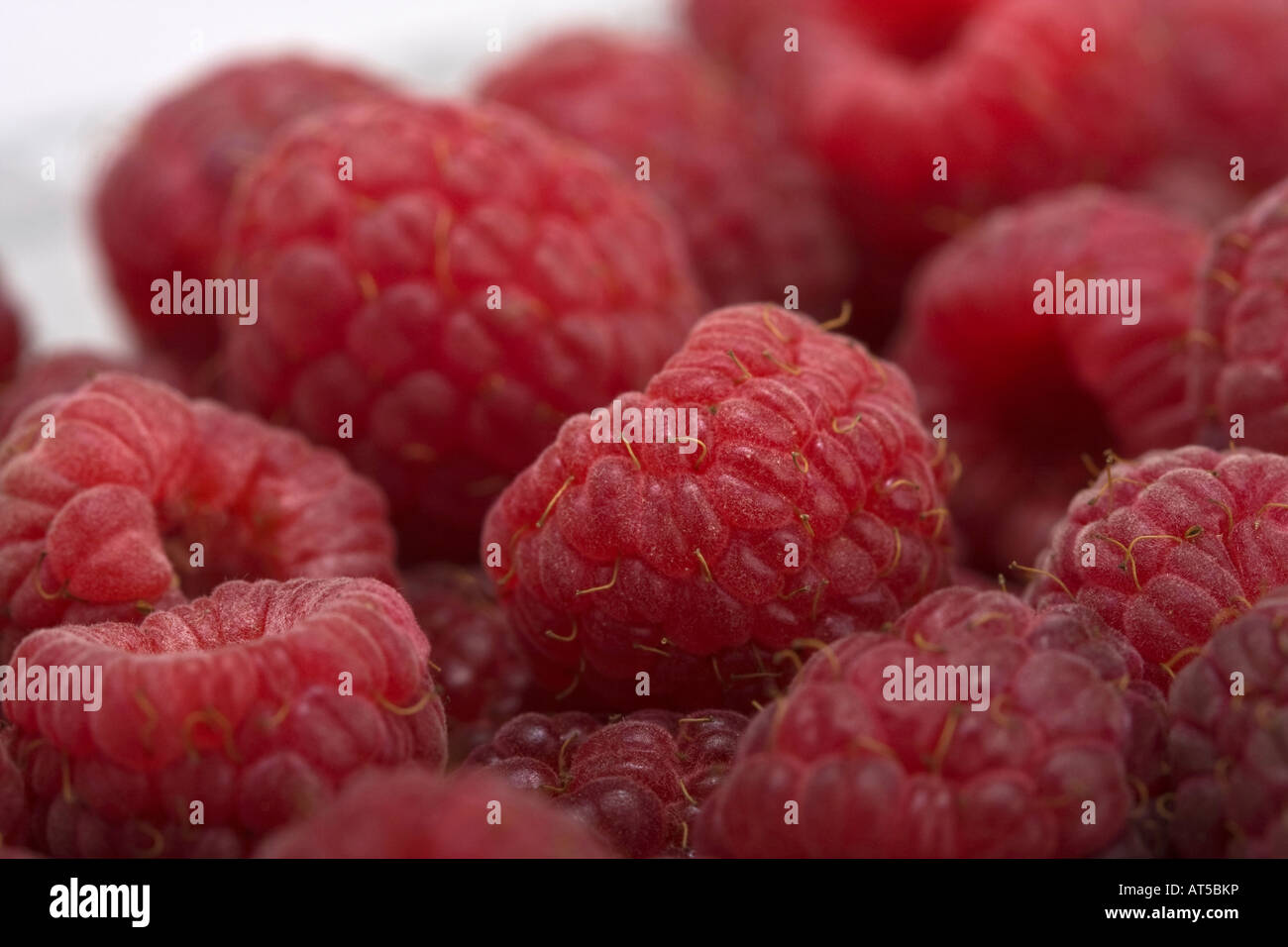 Closeup of ripe organic Raspberries fruits photo studio shots nobody ...