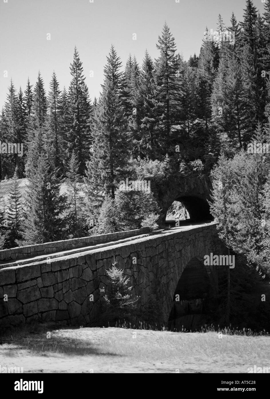 Stevens Canyon Road at Box Canyon Mount Rainier National Park USA Stock ...