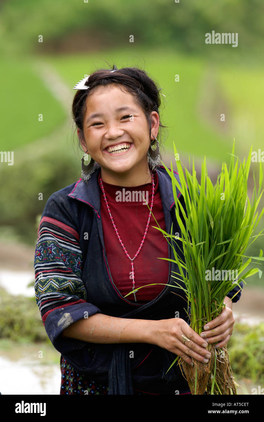 Black Hmong minority girl working in a rice field, Sapa, Vietnam Stock ...