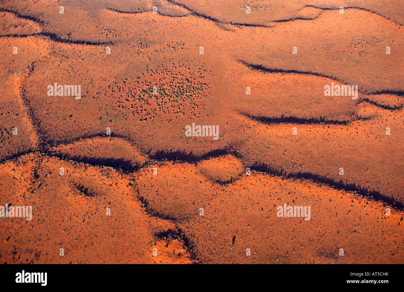 Desert landscape, outback Australia Stock Photo - Alamy