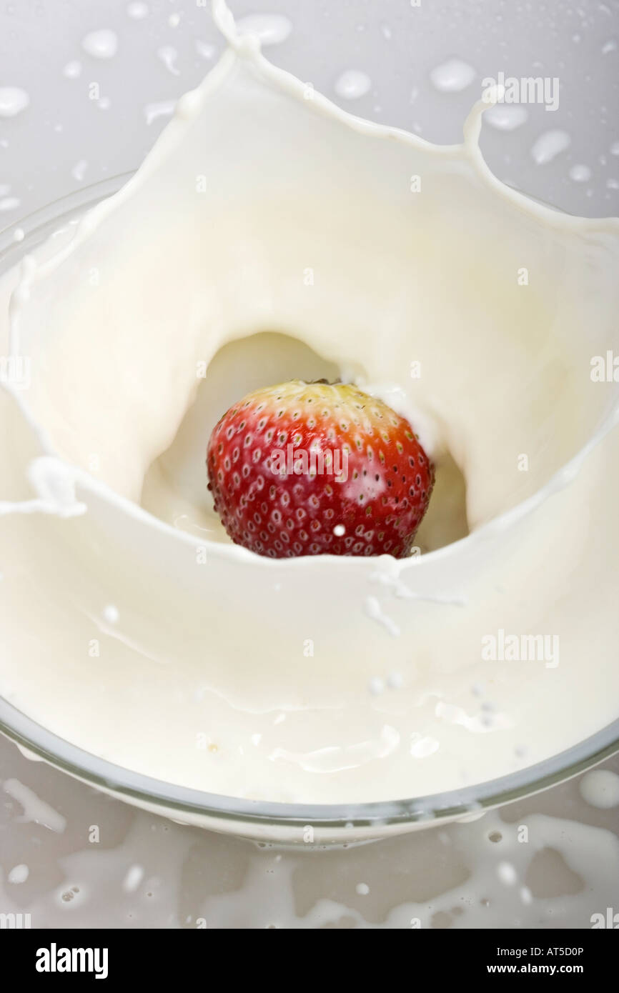 Close up view of red ripe Strawberry falling into milk with splashes ...