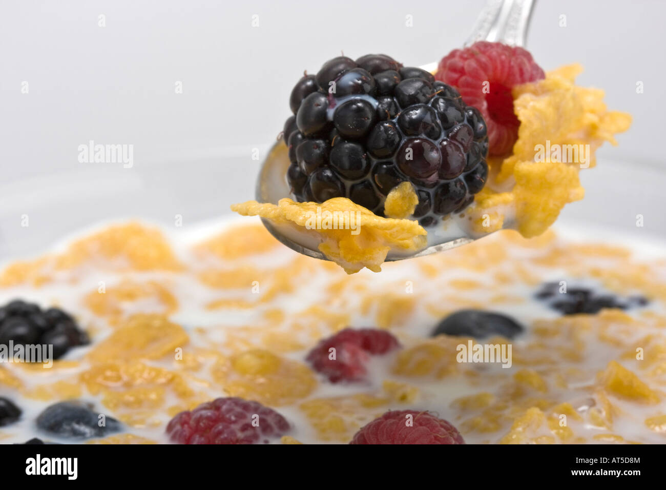 Cereal corn flakes in glass bowl with a milk and Berry fruits simple ...