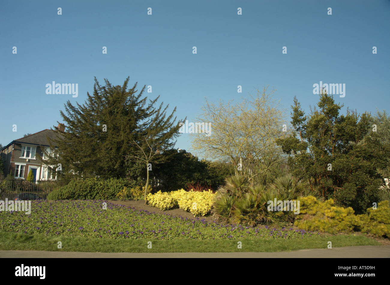 Early spring flowers at Roath Park in Cardiff Stock Photo - Alamy