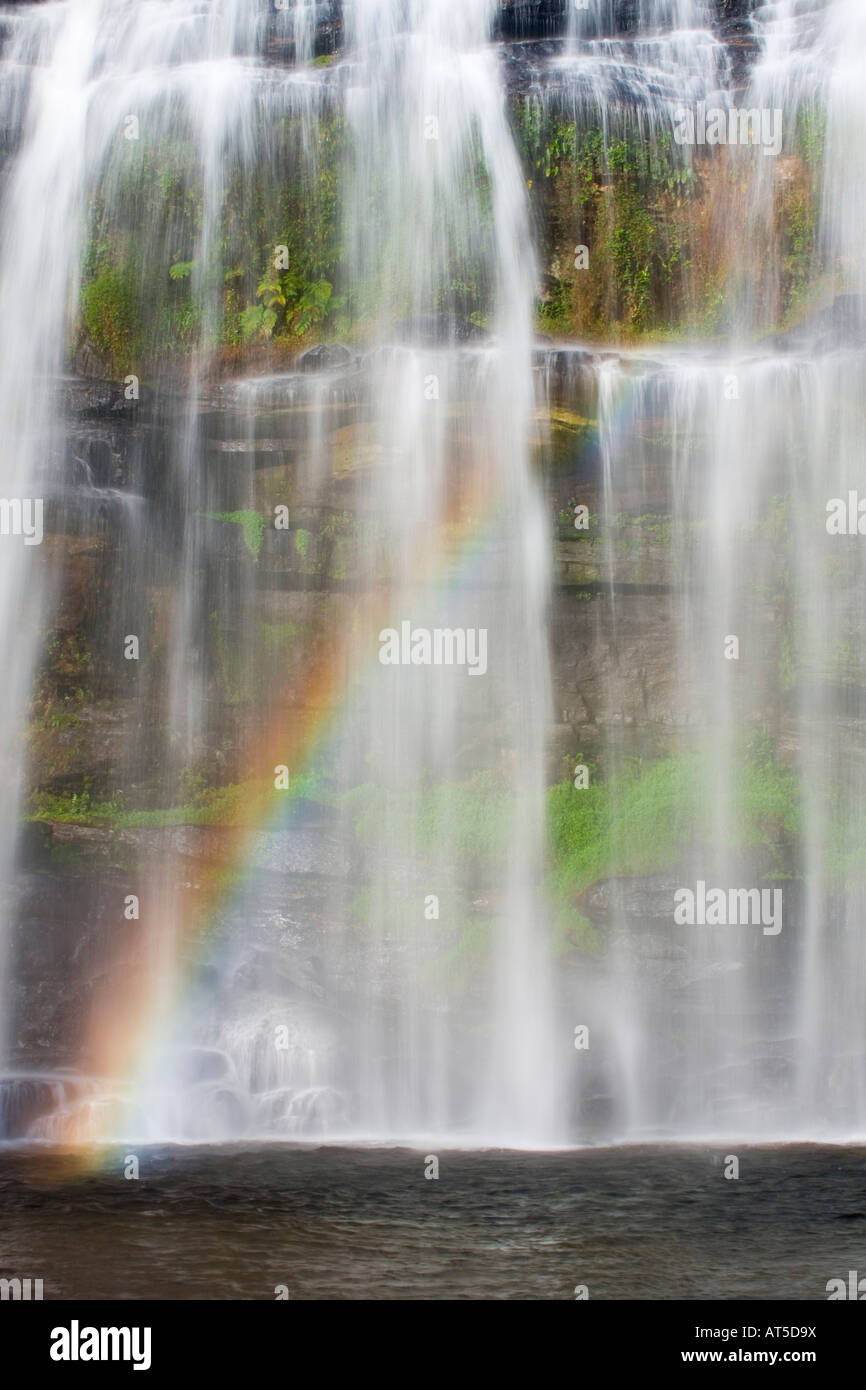 Tropical waterfall with colorful rainbow in Brazil Stock Photo - Alamy
