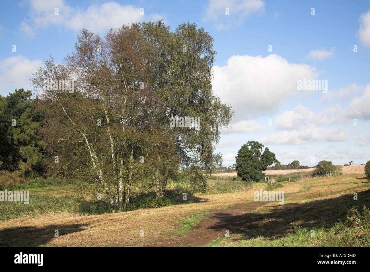 East anglian landscape hi-res stock photography and images - Alamy