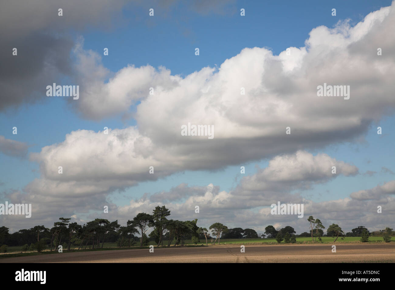Scattered small white cumulus clouds hi-res stock photography and ...